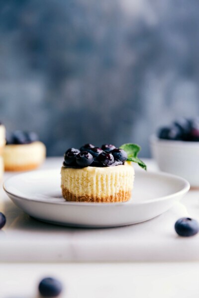 Mini Blueberry Cheesecakes - Chelsea's Messy Apron