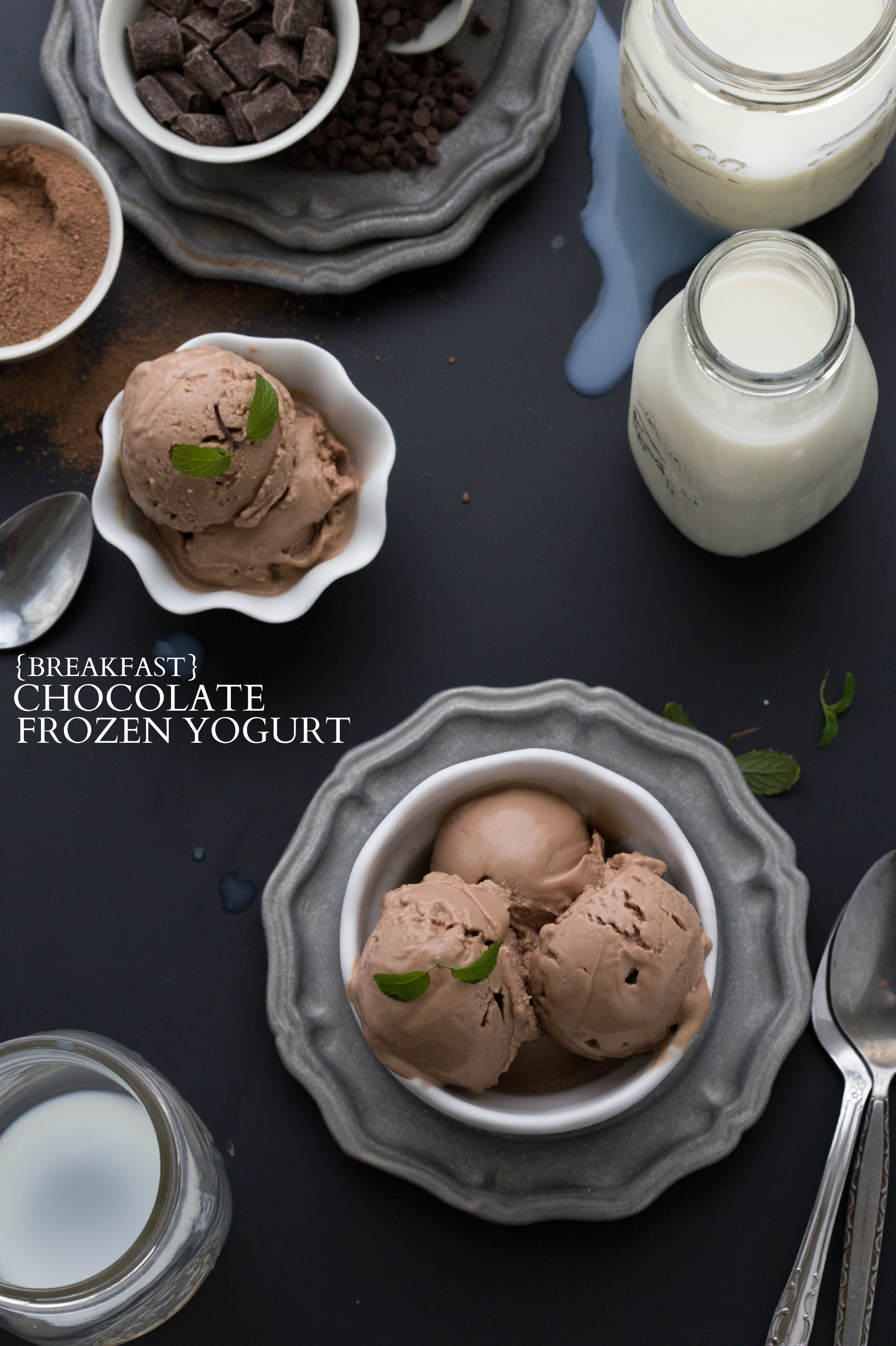 {Breakfast} Chocolate Frozen Yogurt | Chelsea's Messy Apron