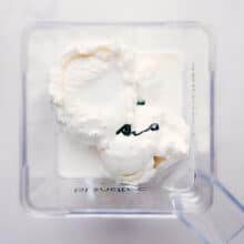 Shamrock Shake - Chelsea's Messy Apron