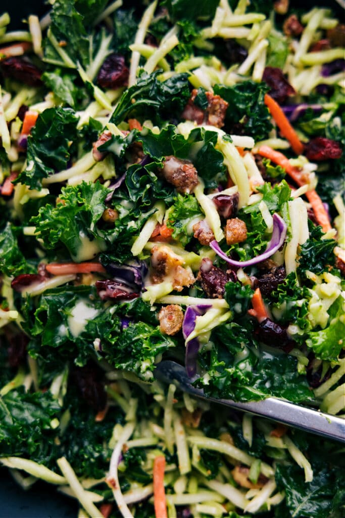 Kale Cranberry Pecan Salad - Chelsea's Messy Apron